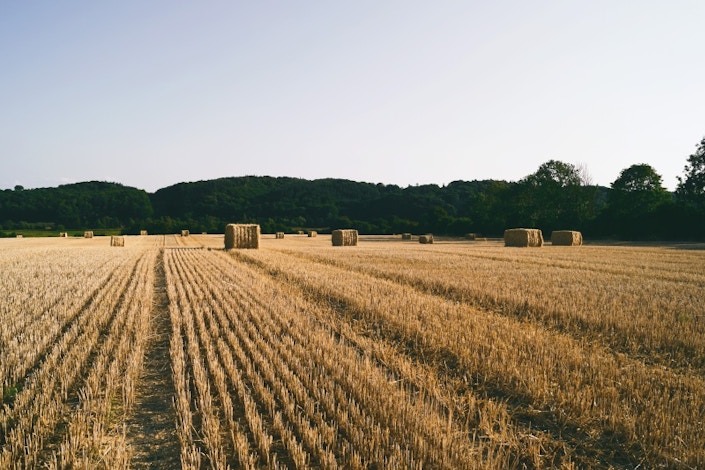 Agritech | mSemicon